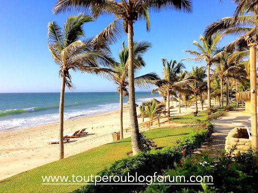 Máncora : profitez des plus belles plages du Pérou - ToutPérou | ToutPérou